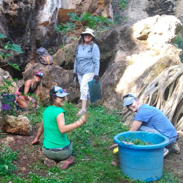 JOIN OR DONATE - KAUAIʻI NATIVE PLANT SOCIETY - Become a member!