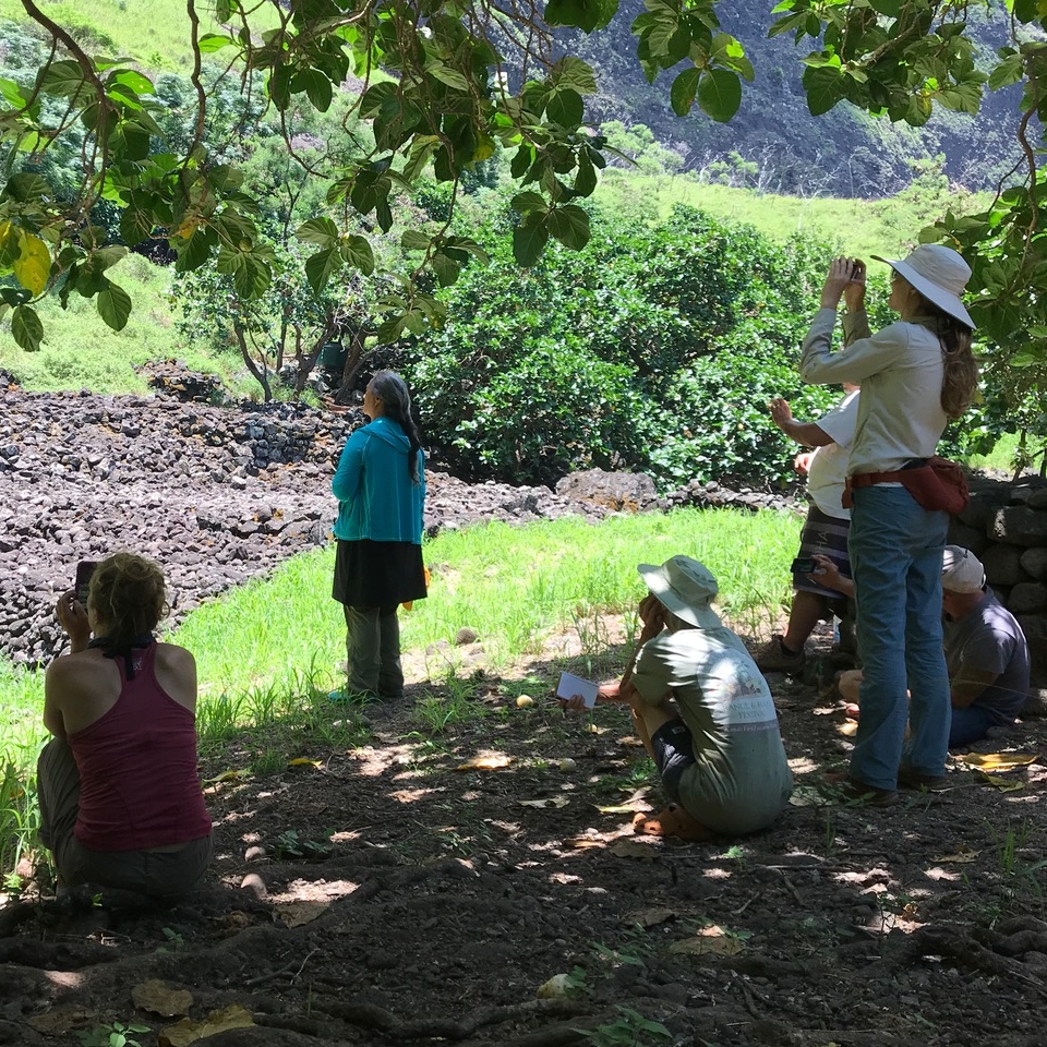 JOIN OR DONATE - KAUAIʻI NATIVE PLANT SOCIETY - Become a member!